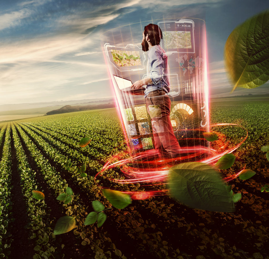 Agro Clinic Centre Konni